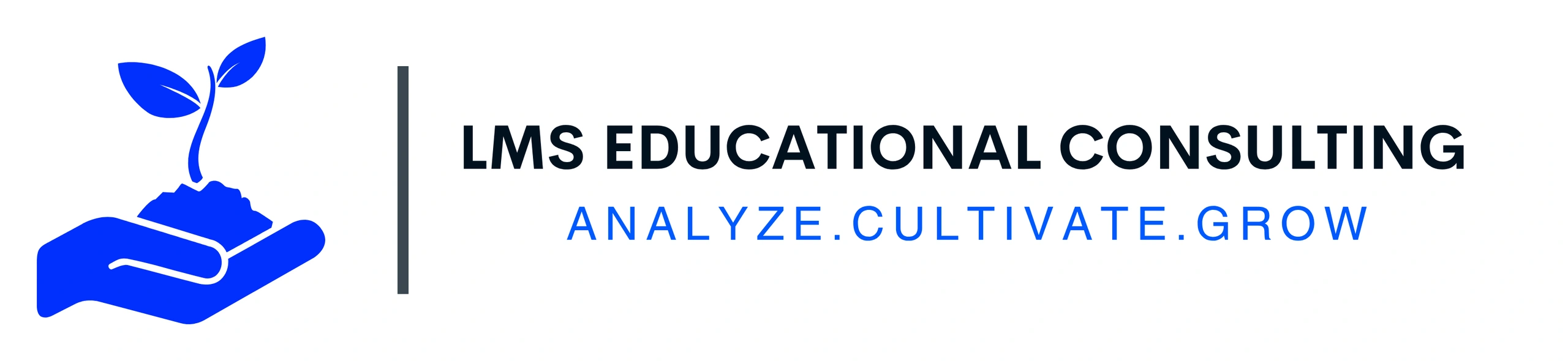 LMS Educational Consulting